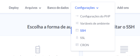 Configurando e habilitando o SSH via Painel – Tutoriais Umbler